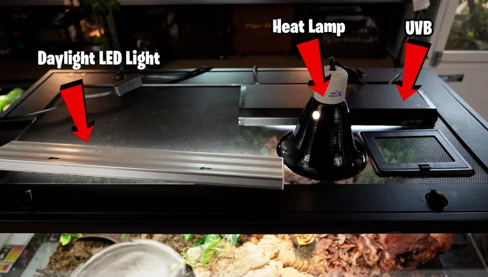 Ball Python Setup Guide: Tank Size, Substrate, Hides & More