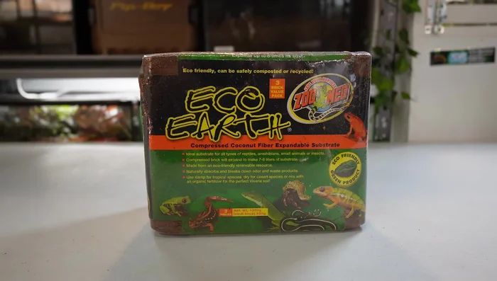 Ball Python Setup Guide: Tank Size, Substrate, Hides & More