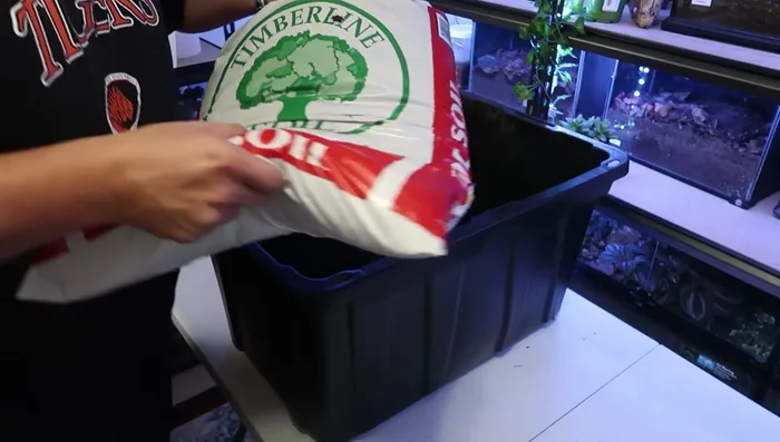 Best Leopard Gecko Substrate: A Comprehensive Guide