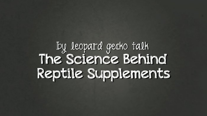 Leopard Gecko Supplements: A Comprehensive Guide to Calcium, Phosphorus ...