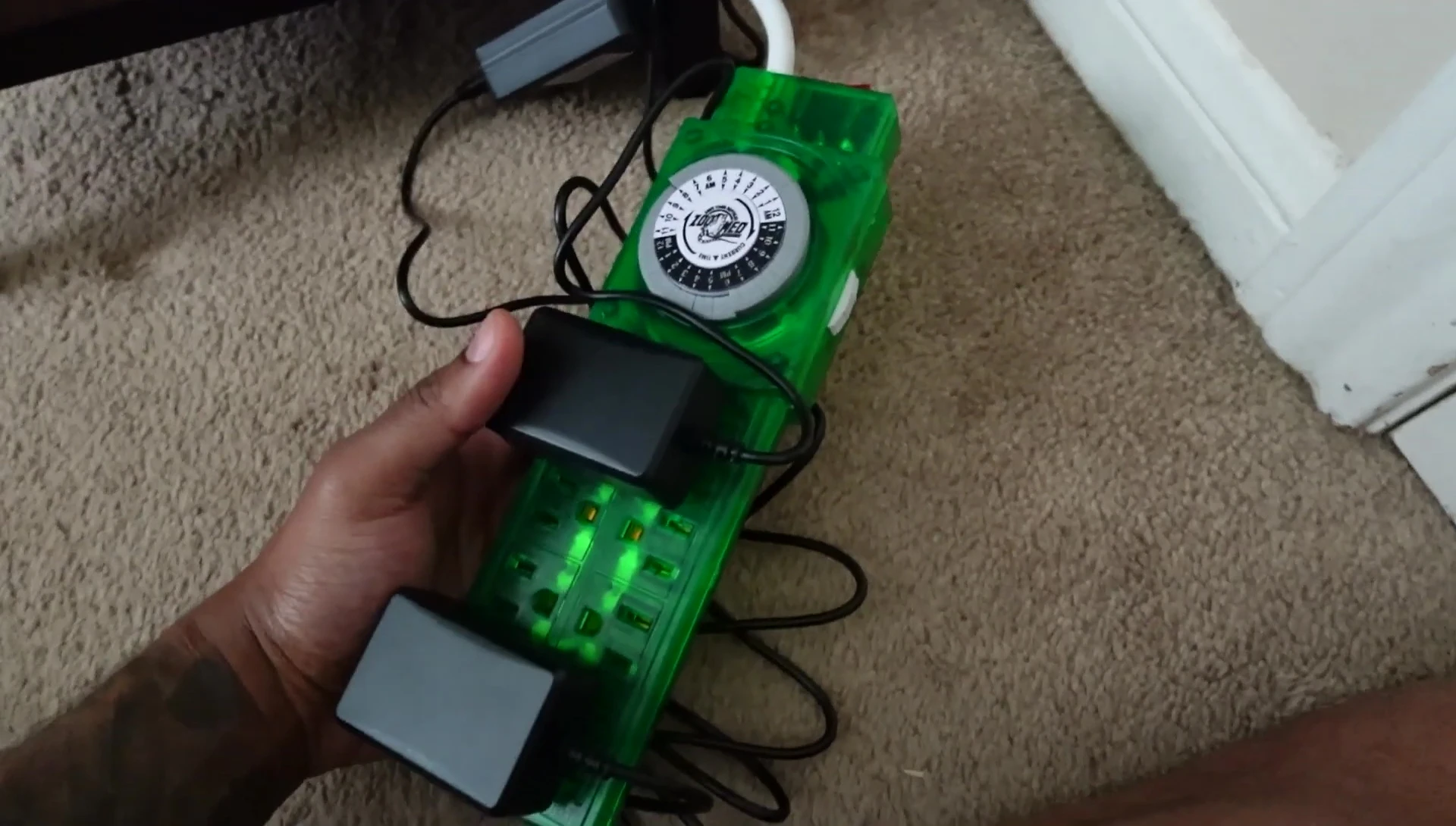 Zoo Med Repticare Terrarium Controller Review: Best Timer Power Strip ...