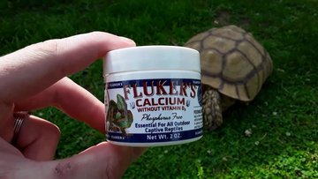 Calcium Supplements for Reptiles: A Tortoise Owner's Guide