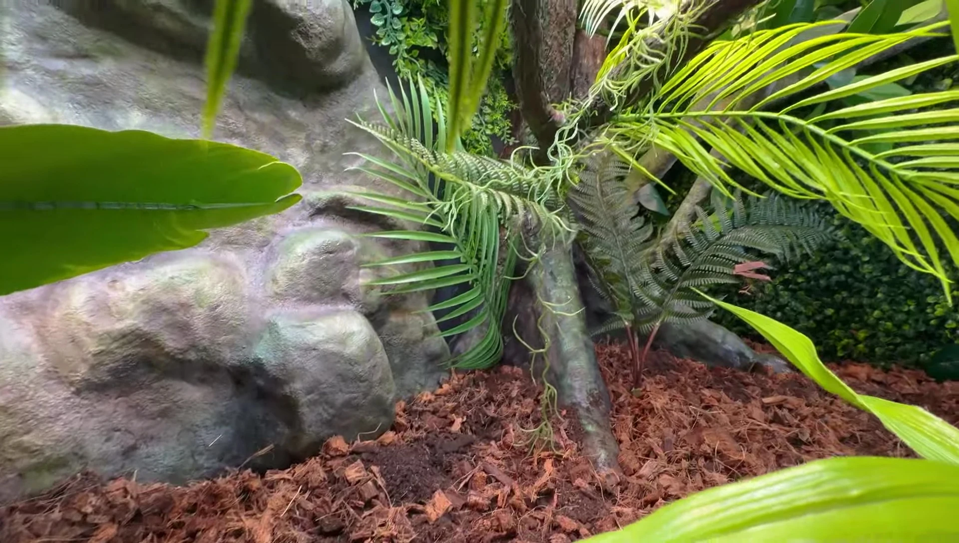 Realistic PVC Branch Creation for Reptile Enclosures: Epoxy Clay Method